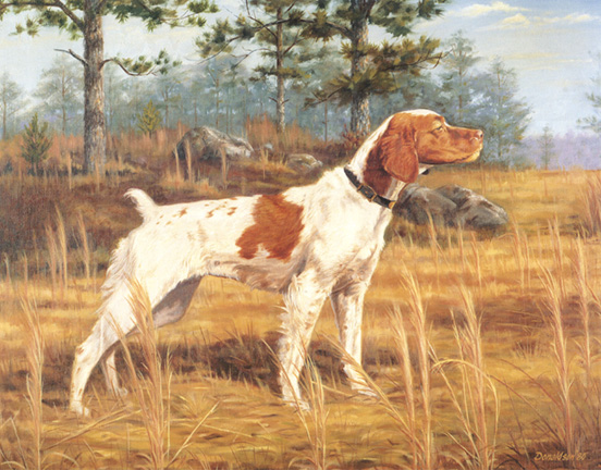 United States Brittany Championship Association
